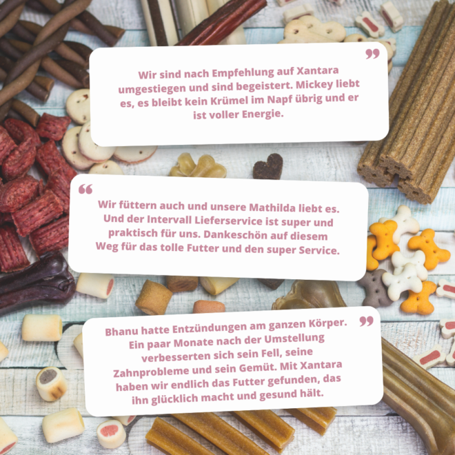 Xantara Hundefutter Test Hochwertige Ernährung für Deinen Hund